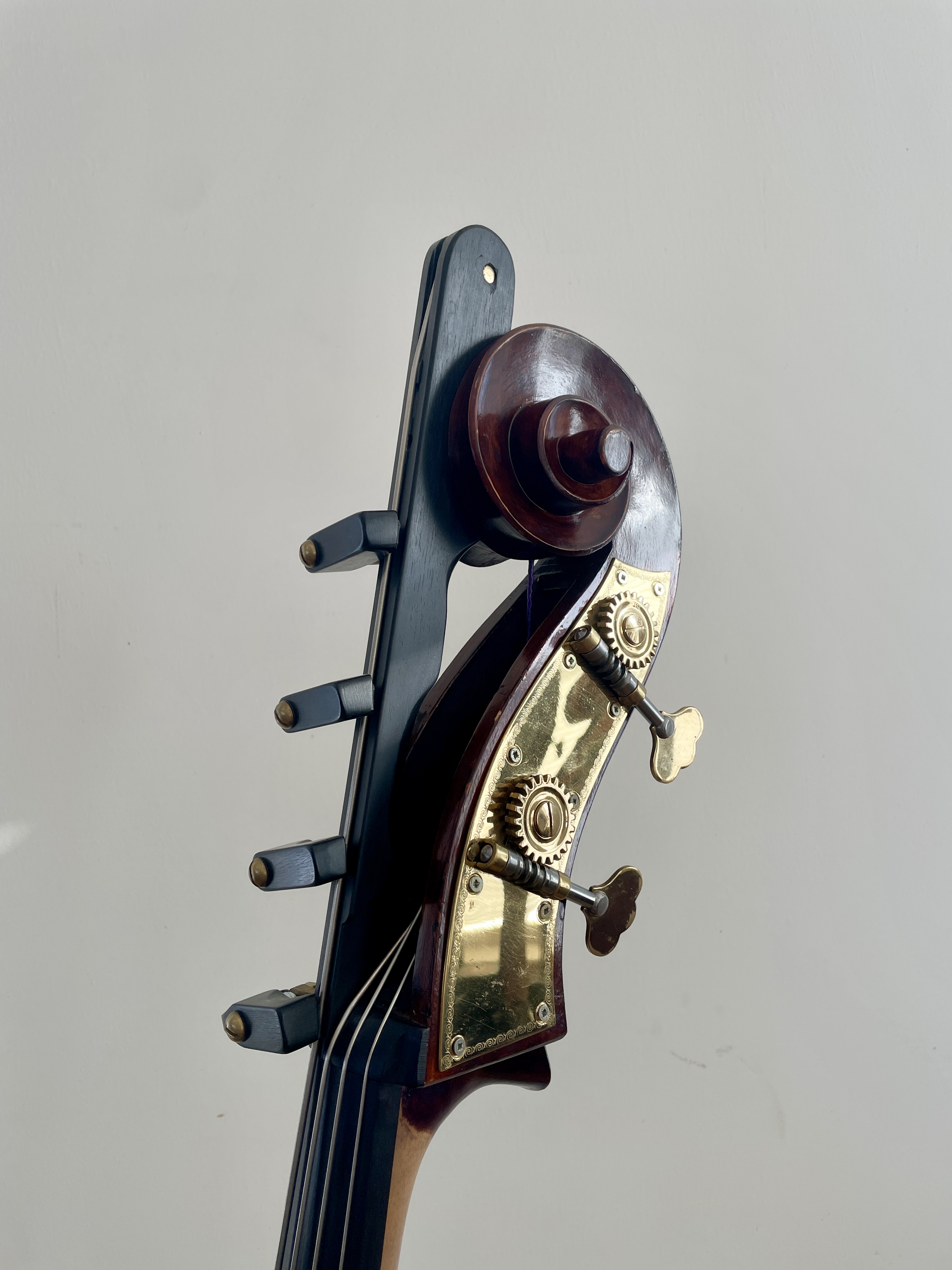 Shank Strings Workshop Bass – Wolf Instruments